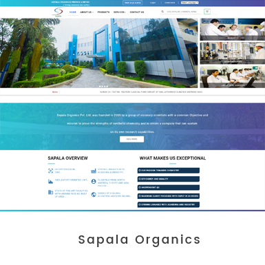 Welcome to Gagri Global, Top E-Commerce Development Services Company in ...